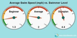 Are You A Fast Swimmer? (Speed charts included) - Chase the Water
